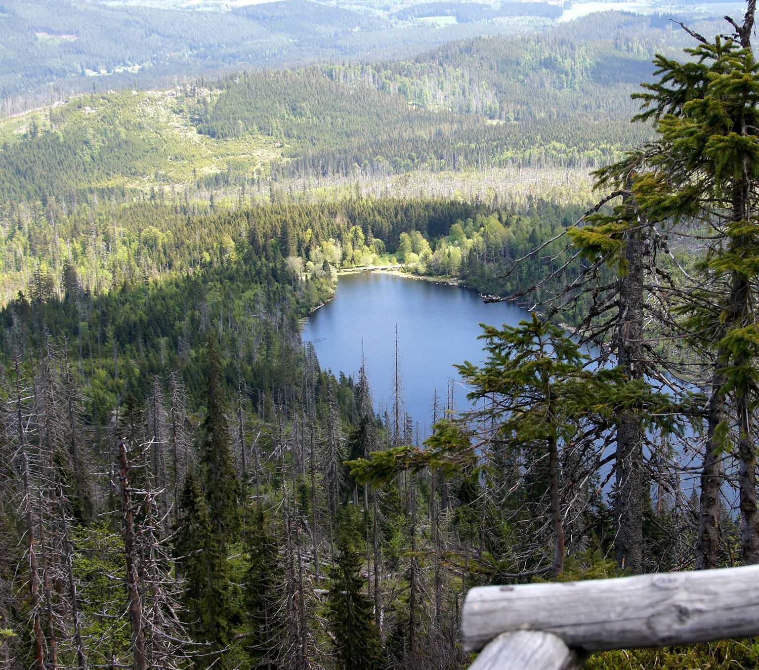 Wandern rund um Linz: Die 40 besten Touren